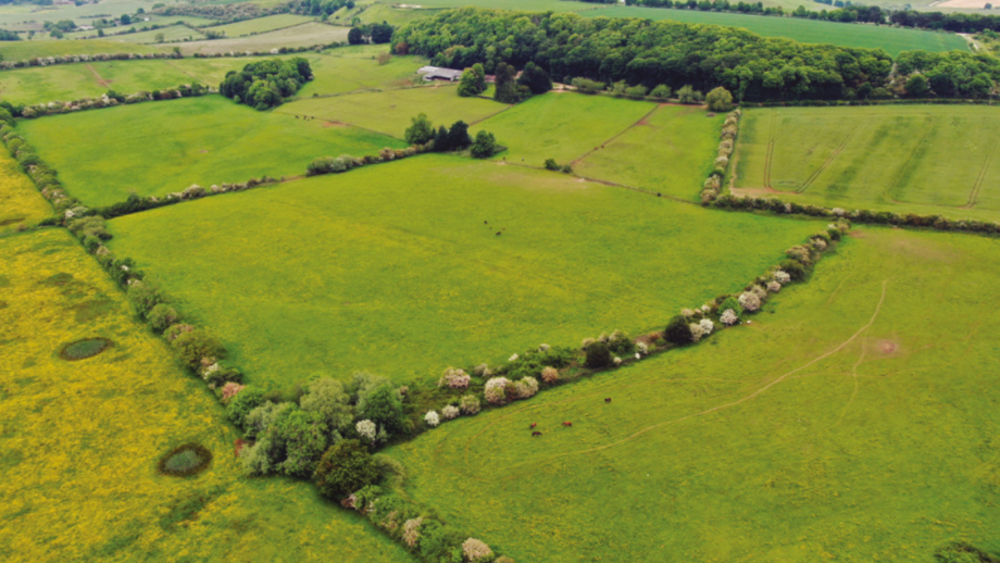This home with a 70-acre stud farm could be yours... | Horse & Hound