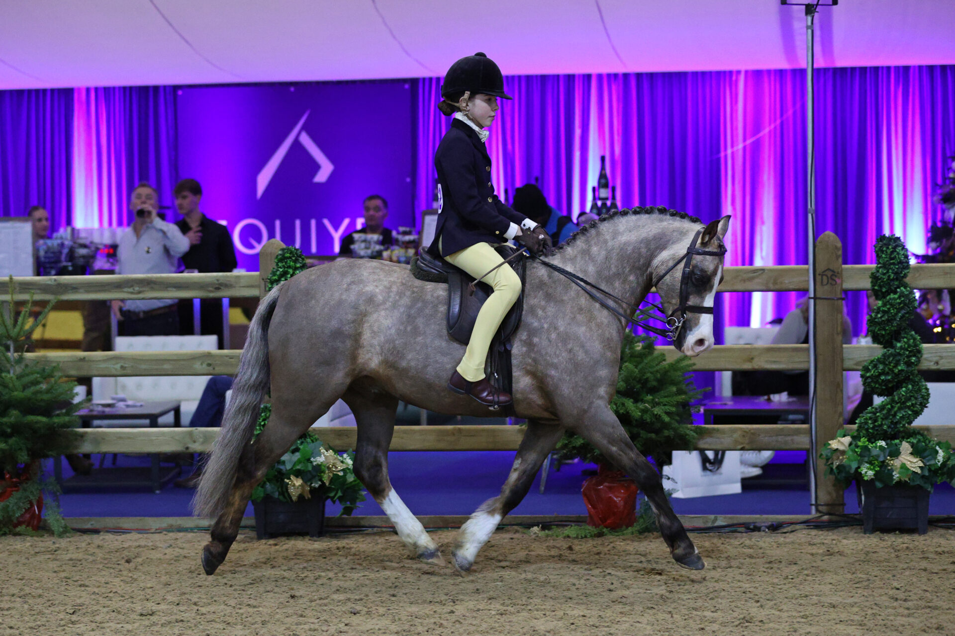 2024 BSPS performance pony final results - Horse & Hound