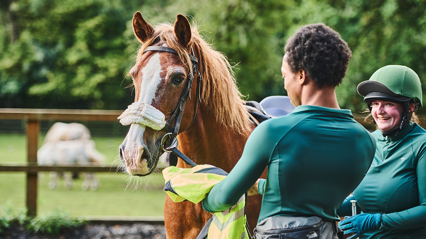 *Opinion* Pammy Hutton: ‘Riding schools are the lifeline of the horse ...