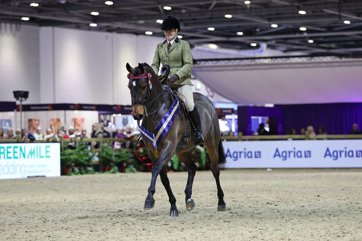 Winners from the BSHA 2024 Rising Star finals - Horse & Hound