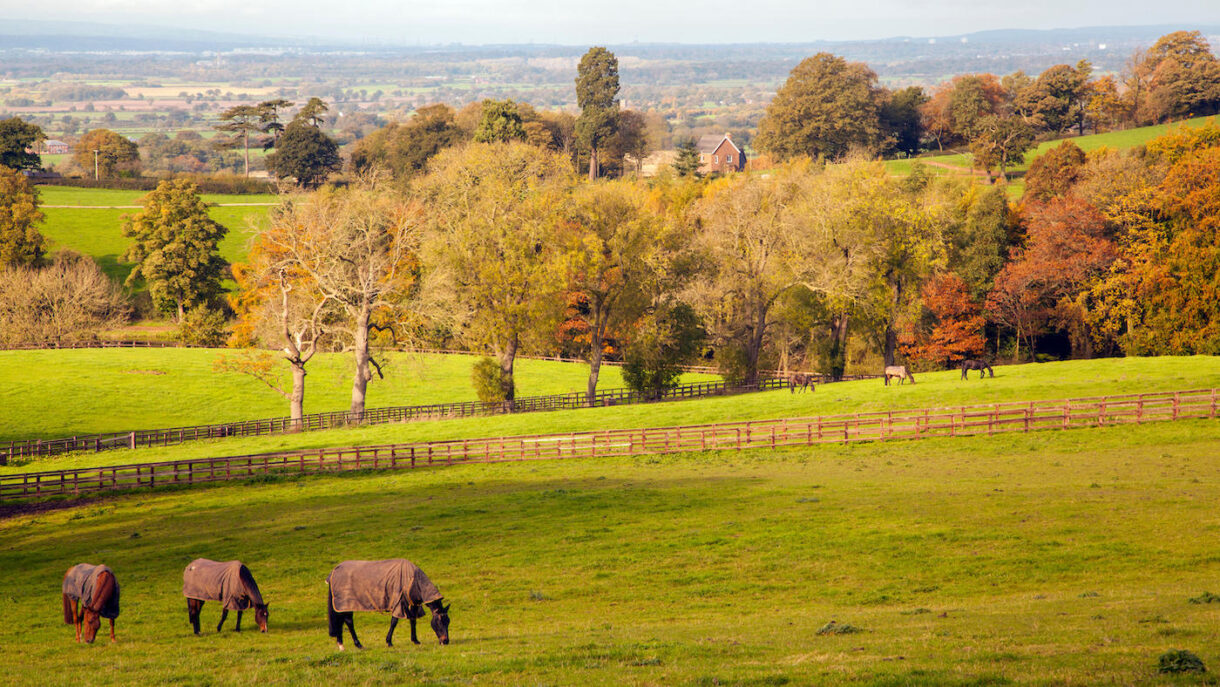 Likely cause of grass sickness found in major step to fighting ...