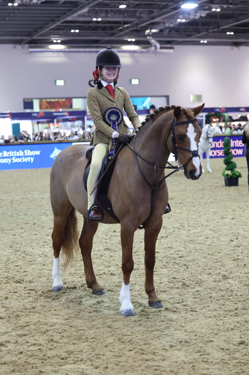2024 BSPS performance pony final results - Horse & Hound