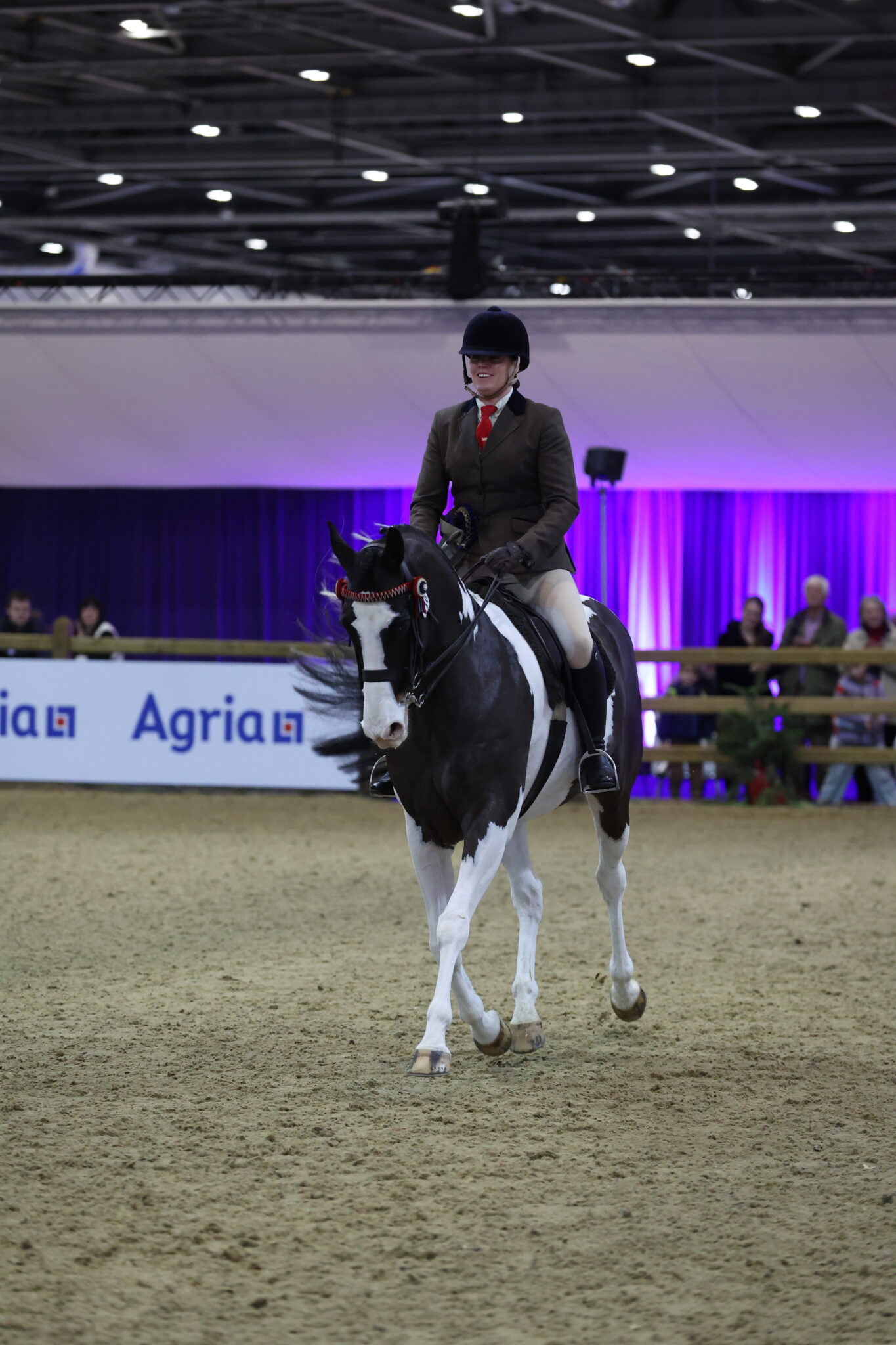 2024 BSPS performance pony final results - Horse & Hound
