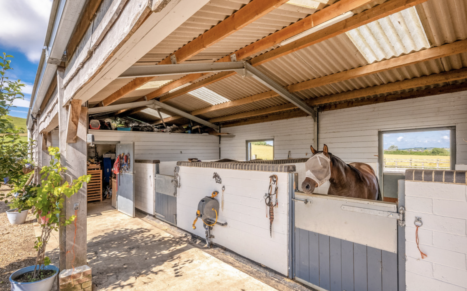 A seriously stylish family home with stables, arena and paddocks in a ...