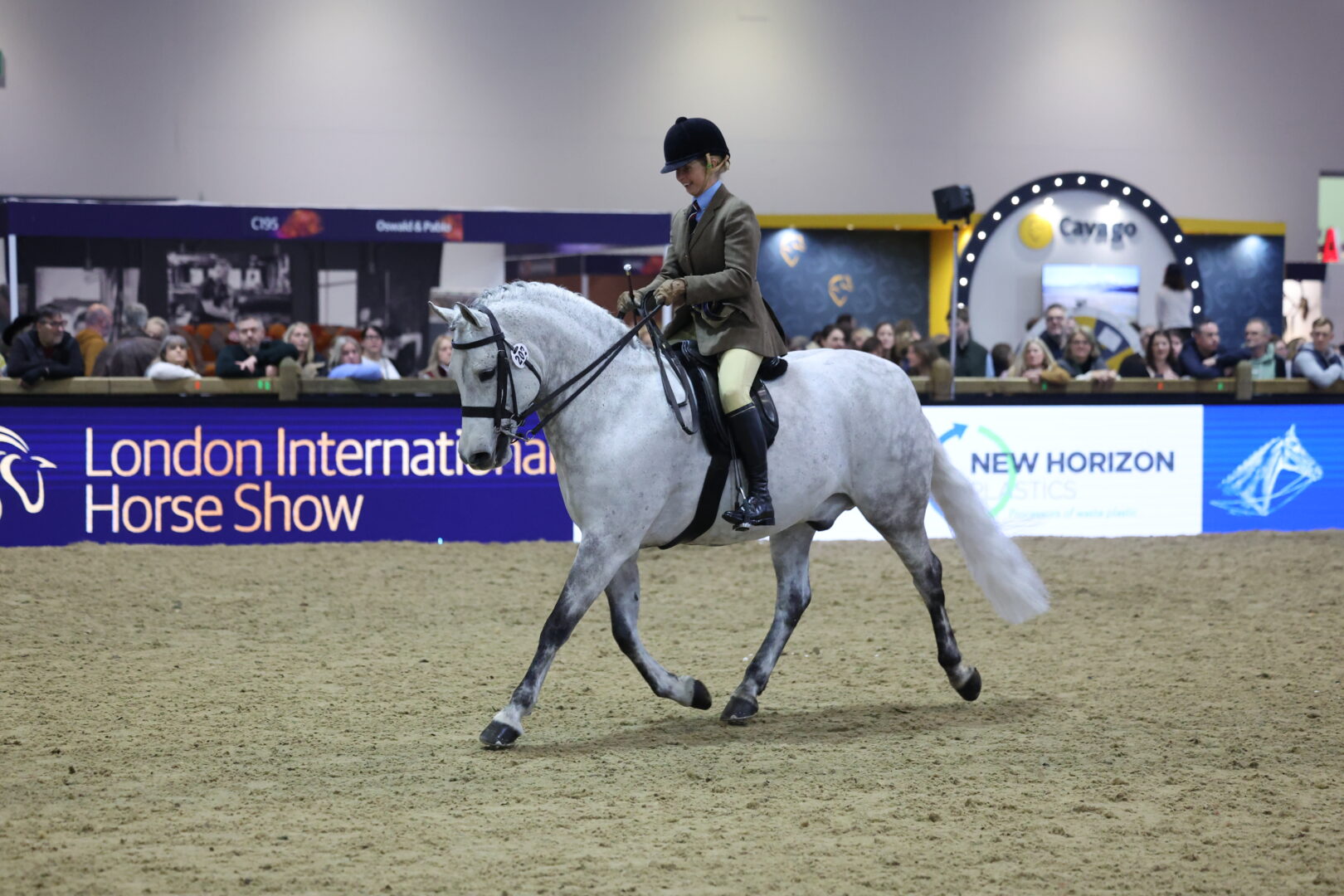 2024 BSPS performance pony final results - Horse & Hound