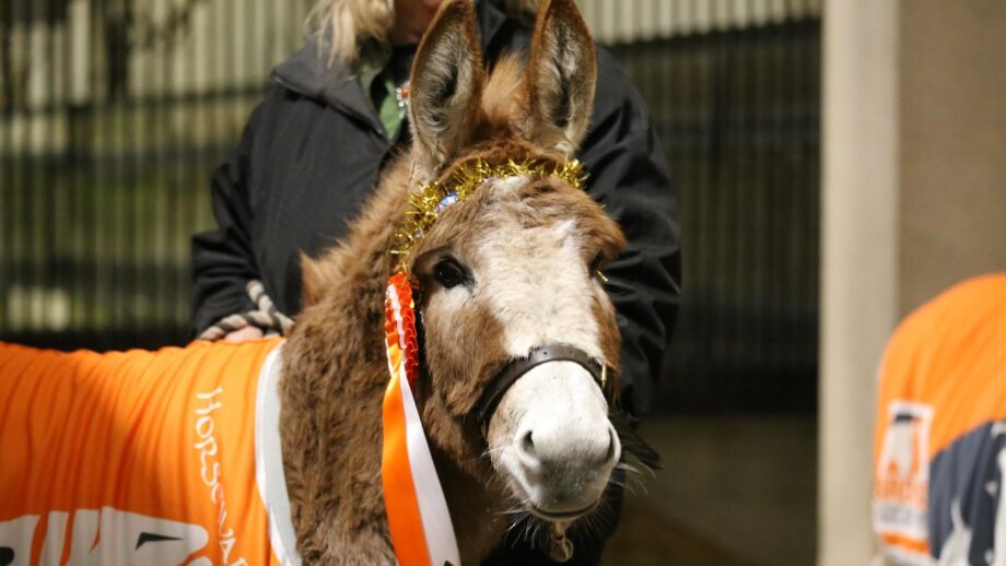 Donkeys and top riders celebrate Christmas in special London carol ...