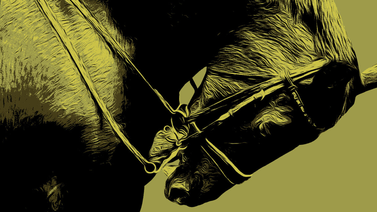 The history of hyperflexion in dressage – and how to move away from it