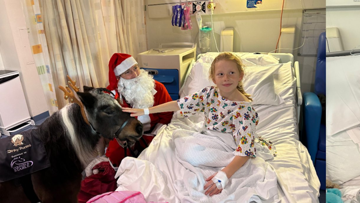 ‘It lights up their day’: farrier Father Christmas and Shetland ...