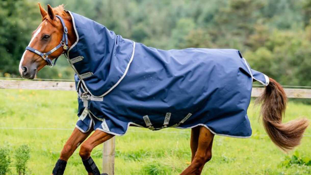 Best heavyweight turnout rugs for all budgets | Horse & Hound