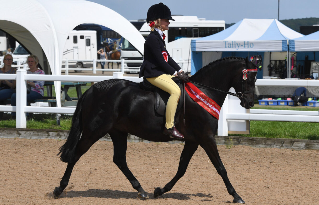 First-ridden pony training for successful transition from lead-rein classes