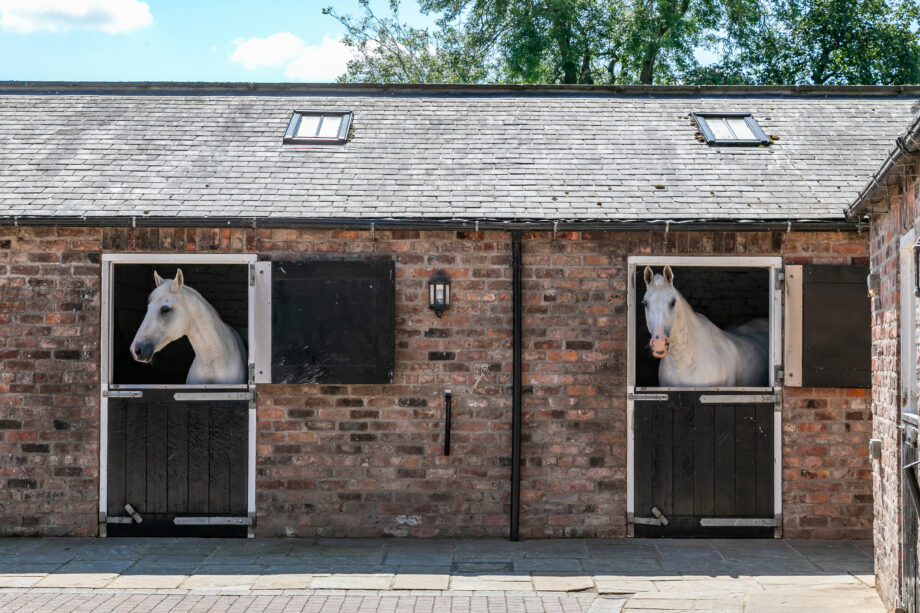 A real stunner! Check out this wonderful family home with stables, a ...