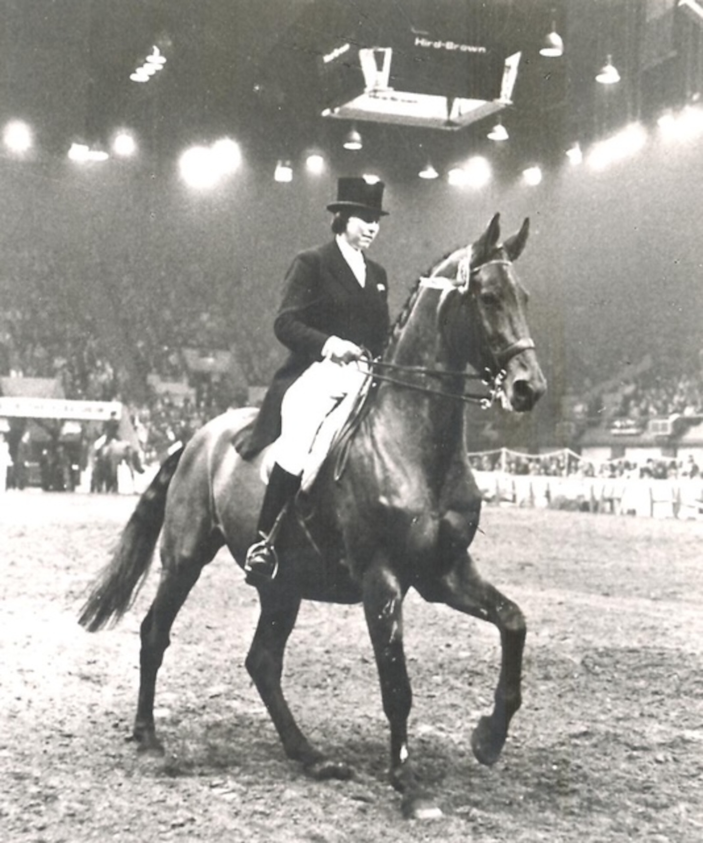 Farewell to British Olympic dressage rider Domini Morgan - Horse & Hound