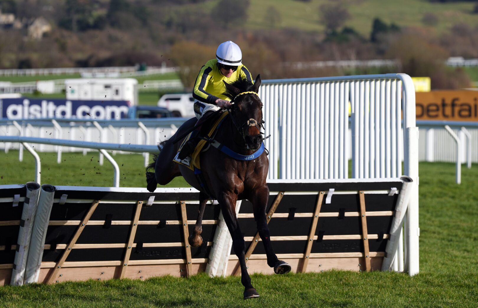 Palladium to miss 2025 Cheltenham Festival | Horse & Hound