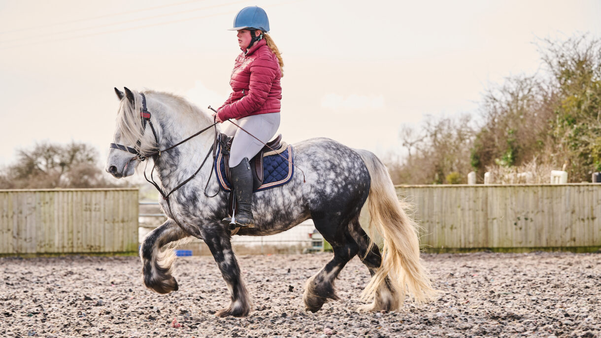 Getting show horse fit with this week-by-week guide from Horse & Hound