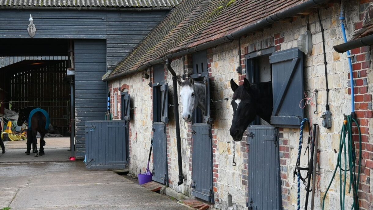 How to find an ideal livery yard for you and your horse | Horse & Hound