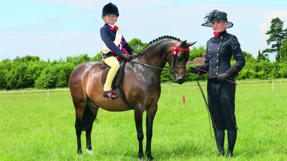 First-ridden pony training for successful transition from lead-rein classes