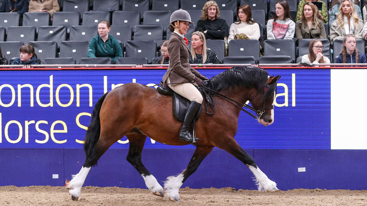 2024 BSPS M&M supreme ridden final - best of breeds - Horse & Hound