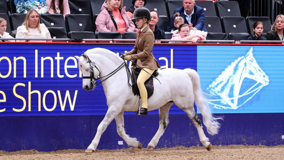 2024 BSPS M&M supreme ridden final - best of breeds - Horse & Hound