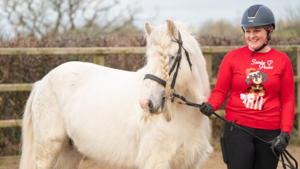 ‘Surprise’ arrival of one-eyed pony stallion leads to happy ending