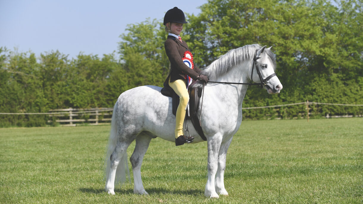 First-ridden pony training for successful transition from lead-rein classes
