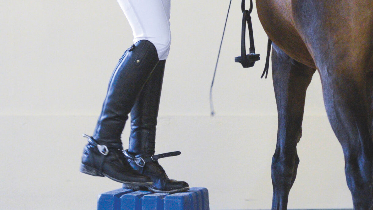 New whip and spur rules, HOYS judges and other things the horse world ...