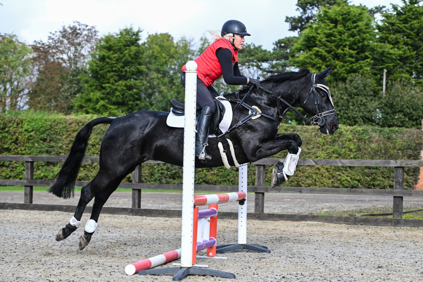 Horse and rider with combined age of 94 still competing and loving it