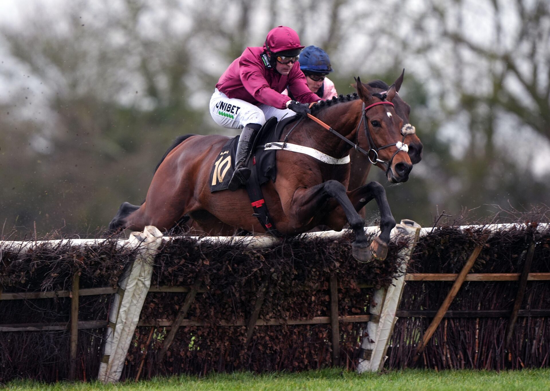World’s most expensive jumps racehorse Palladium makes British debut