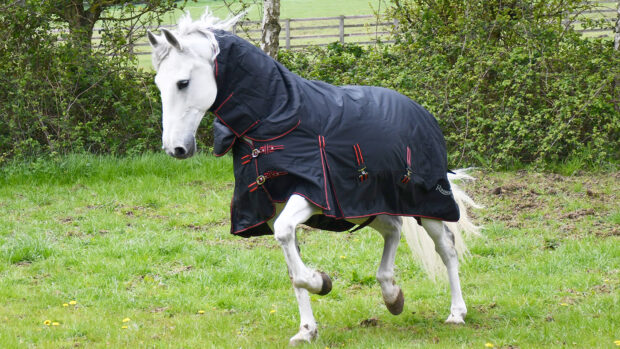 Best heavyweight turnout rugs for all budgets | Horse & Hound
