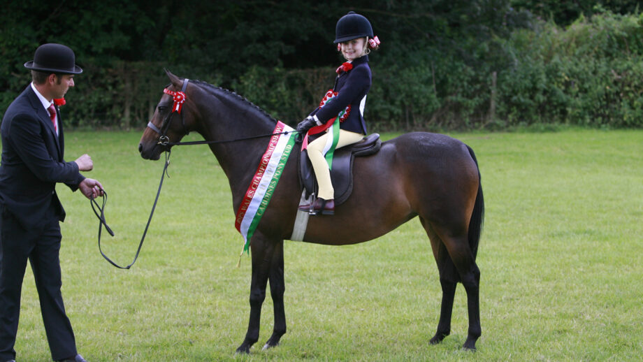 First-ridden pony training for successful transition from lead-rein classes