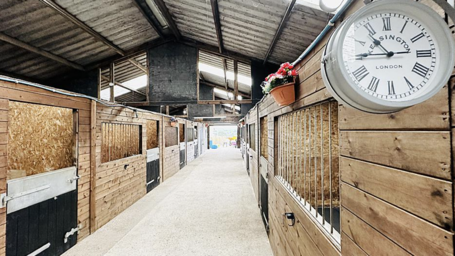 This equestrian set-up with stables, indoor and outdoor arenas, grazing ...