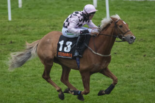 Meet racehorse Secret Squirrel with his flaxen mane and tail