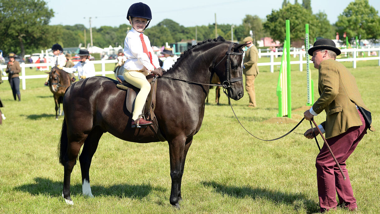 Training the lead-rein pony and their young jockey for show ring success