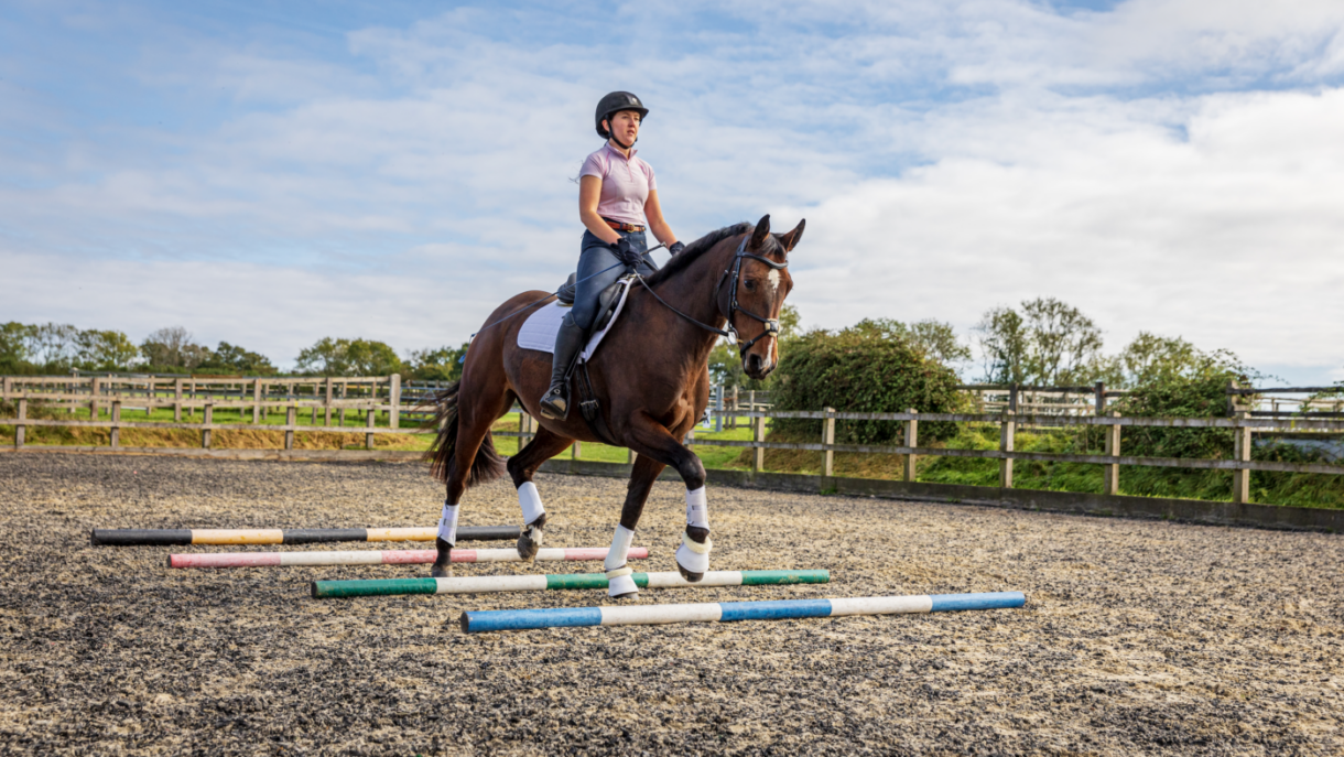 Horse and rider training tips from top riders and expert trainers for ...