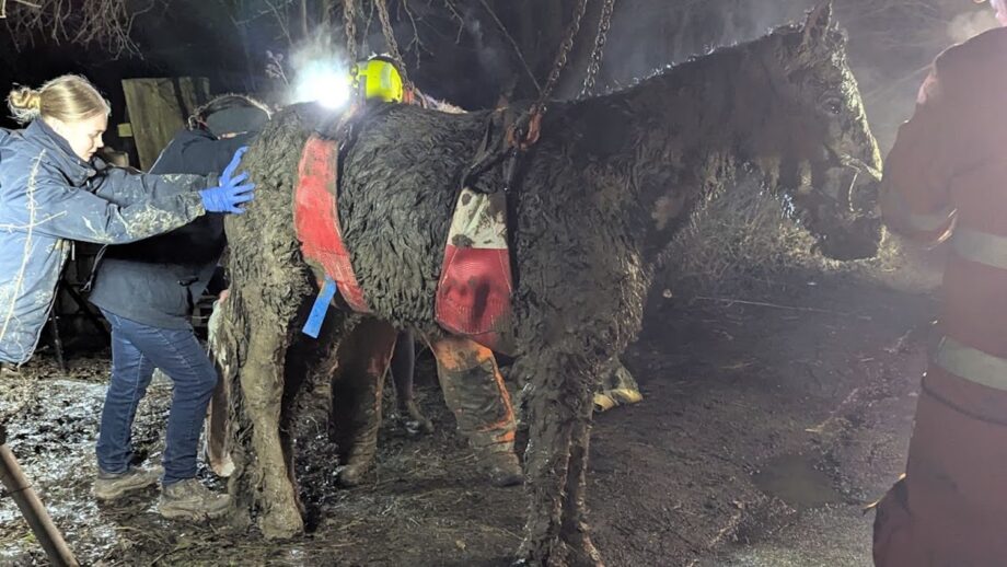 ‘The silence was unsettling’: first on the scene remember Spindles Farm ...