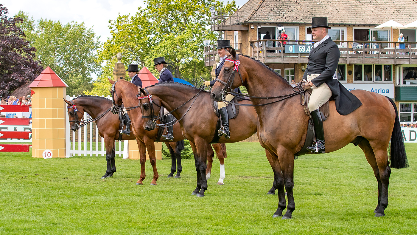 Training the riding horse to demonstrate perfection in the show ring