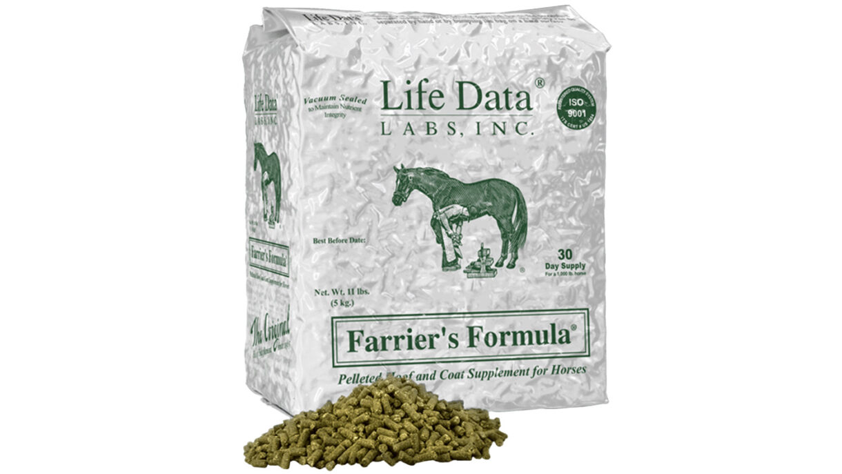 Best hoof supplements for horses: what’s on the market? | Horse & Hound
