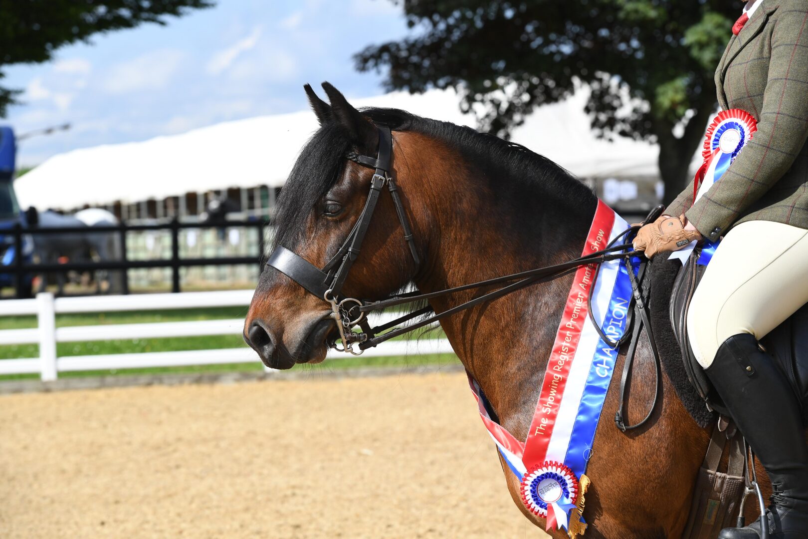 ‘A golden opportunity’ for amateurs as HOYS pathway returns – and new ...