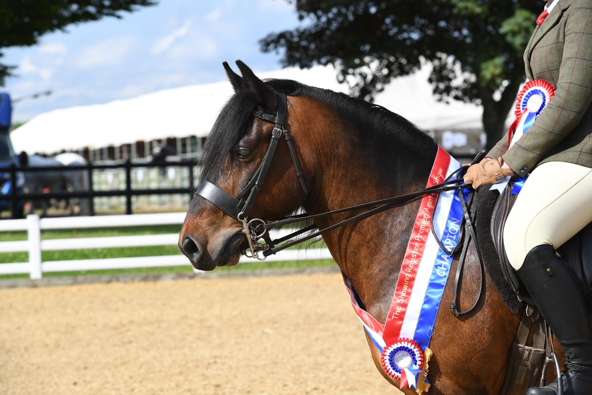 Extra qualifying opportunities, split classes and other HOYS changes ...