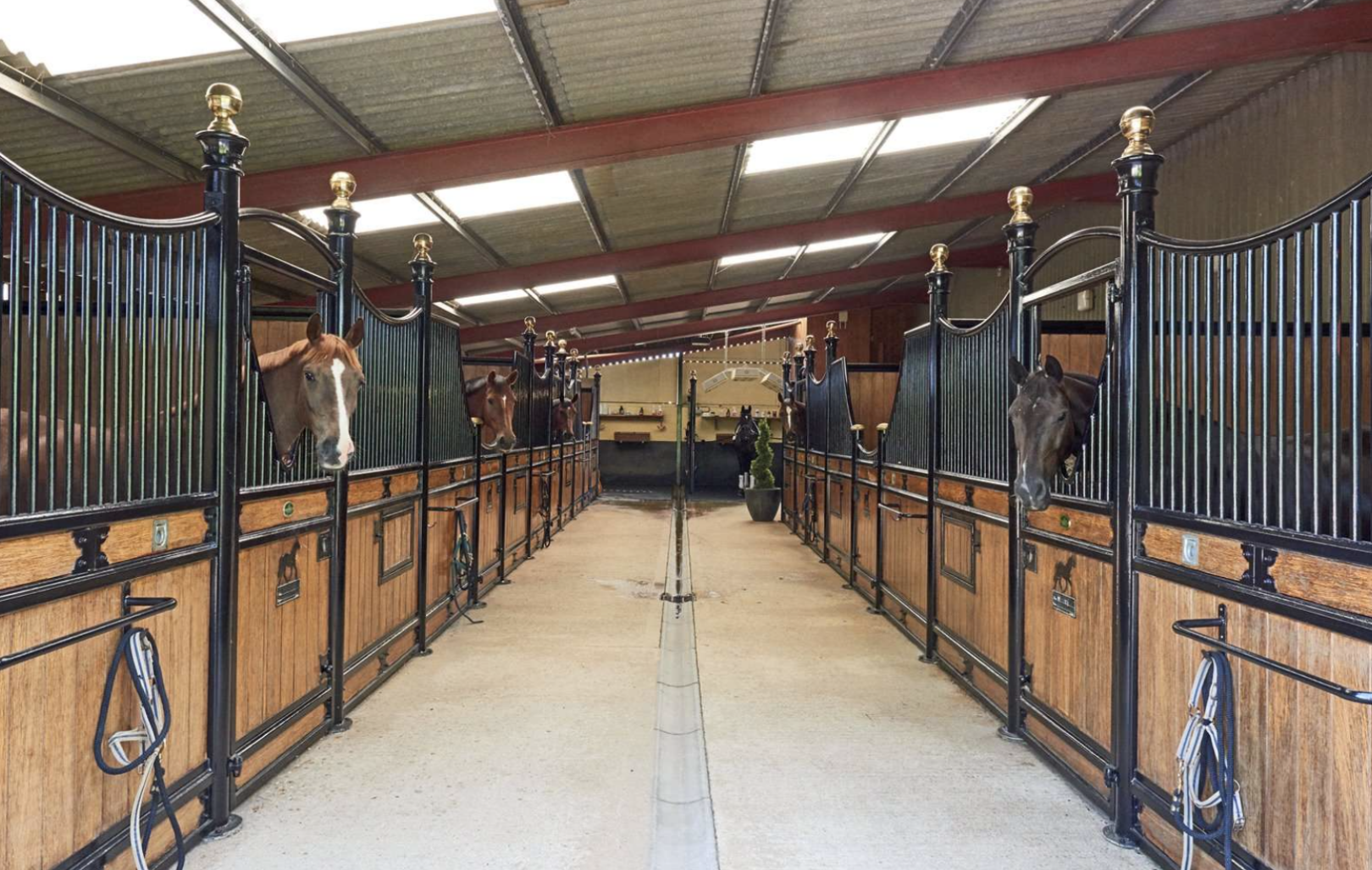 This place has it all! A stunning family home with stables, indoor and ...