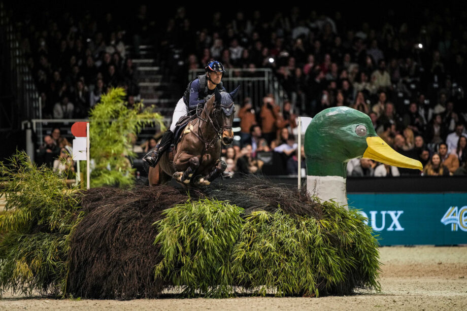 Grégory Cottard: meet this showjumper who uses very little tack