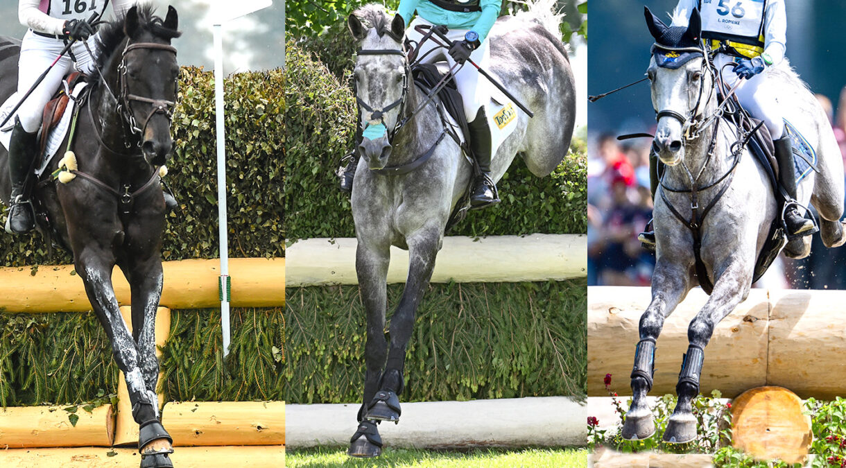 Future eventing stars to watch at this year’s European Championships