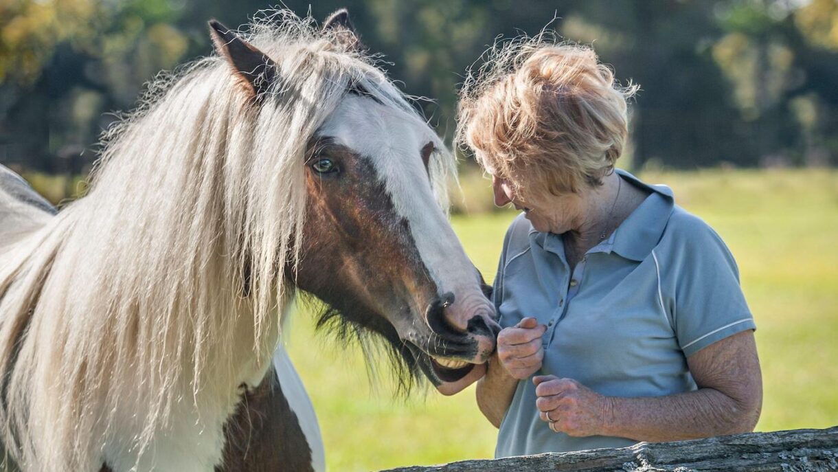 Operant conditioning for horses uses rewards and consequences