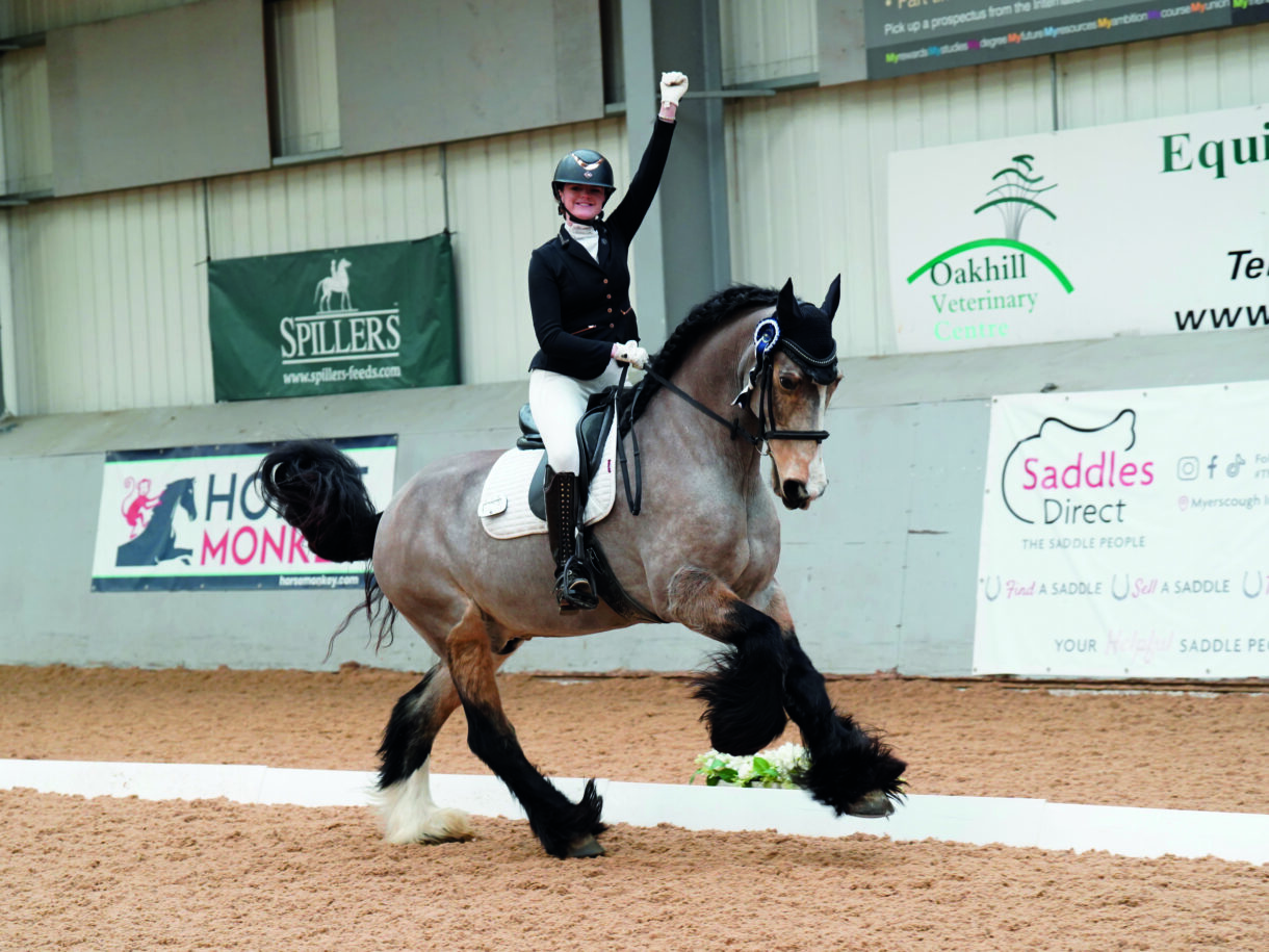 How to create a dressage freestyle without breaking the bank