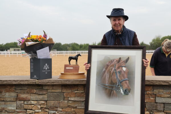 Tributes to Irish Draught Enthusiast Ellen Walton: A Remarkable Legacy ...