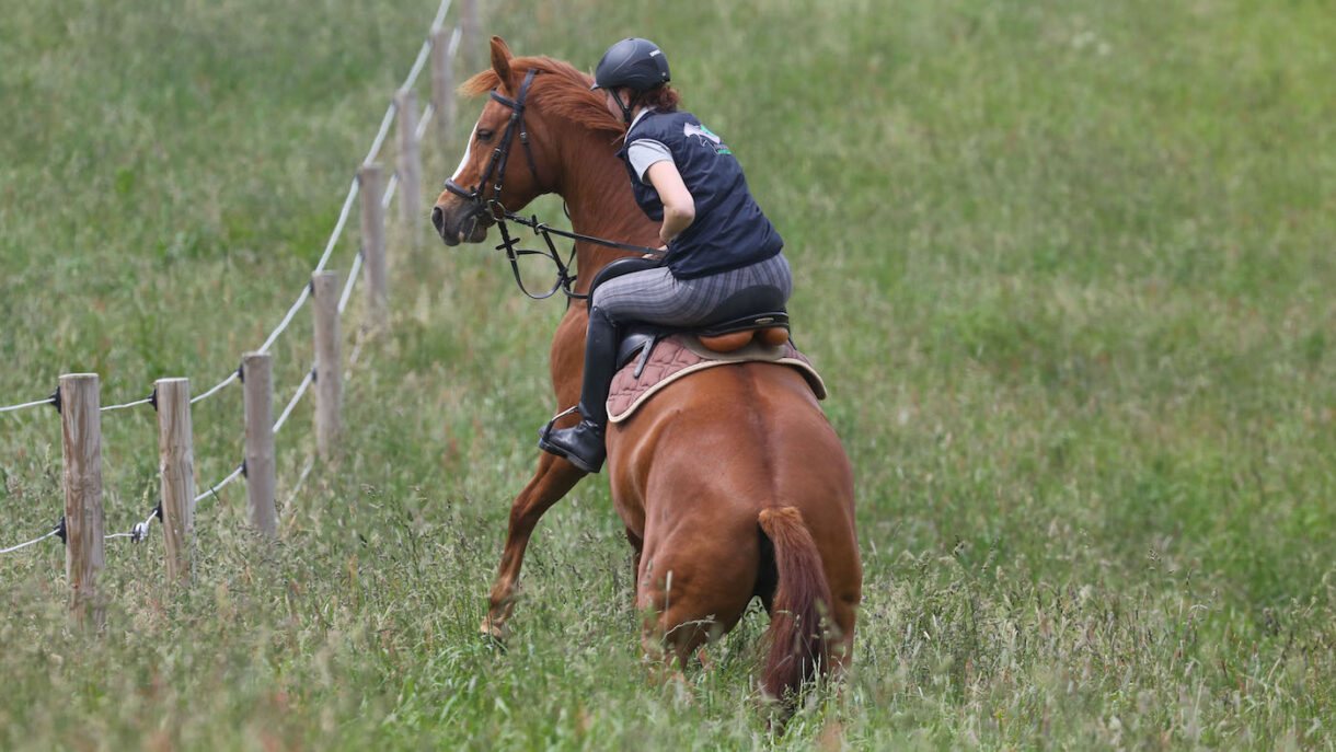 Napping horses can be a challenge, but they can be retrained