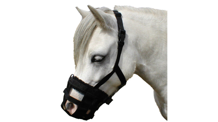 Best grazing muzzles – and everything you need to know | Horse & Hound