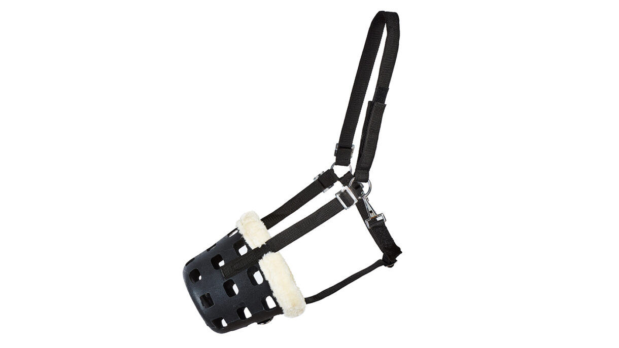 Best grazing muzzles – and everything you need to know | Horse & Hound