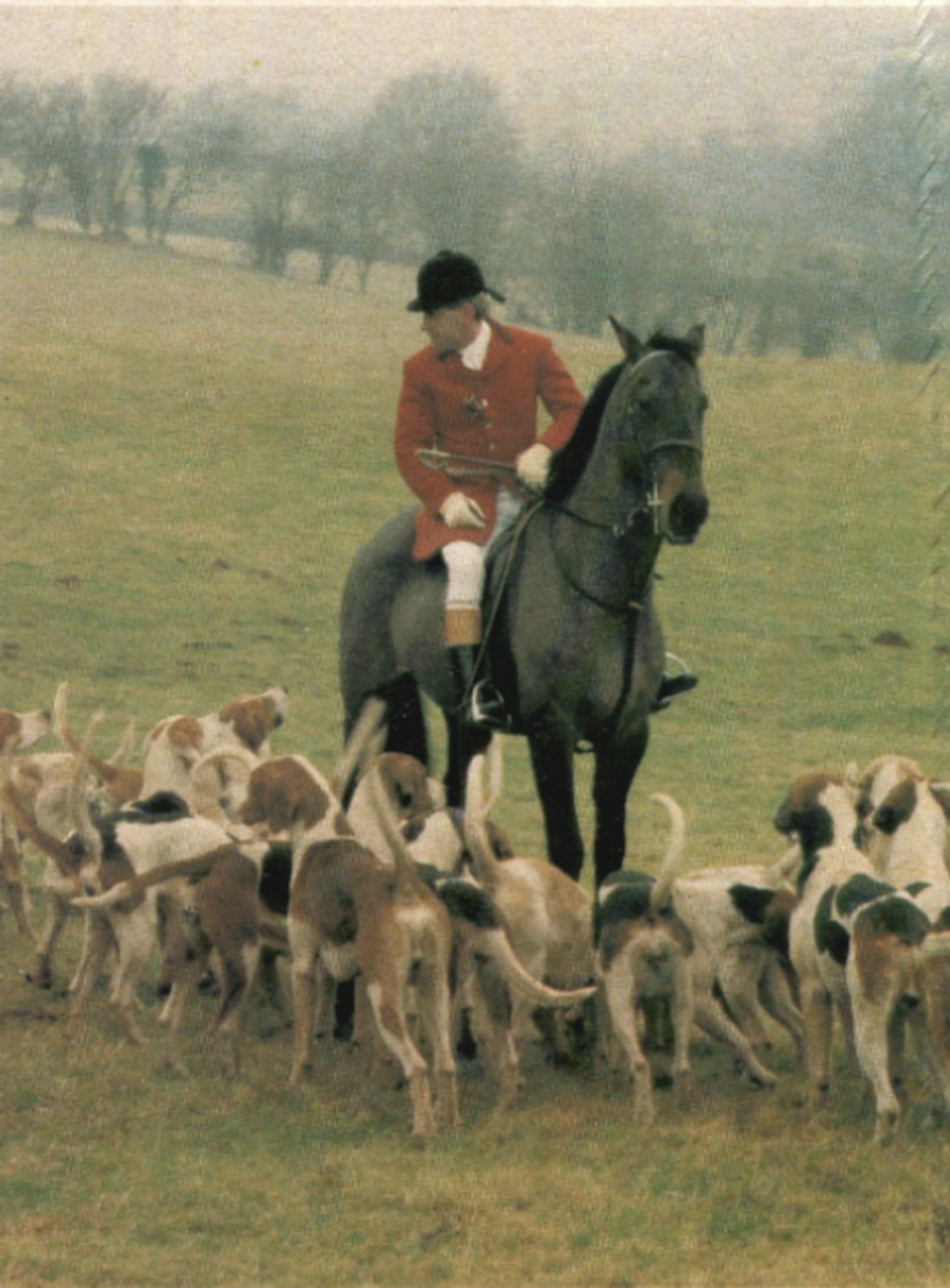 Farewell to respected former master and huntsman - Horse & Hound