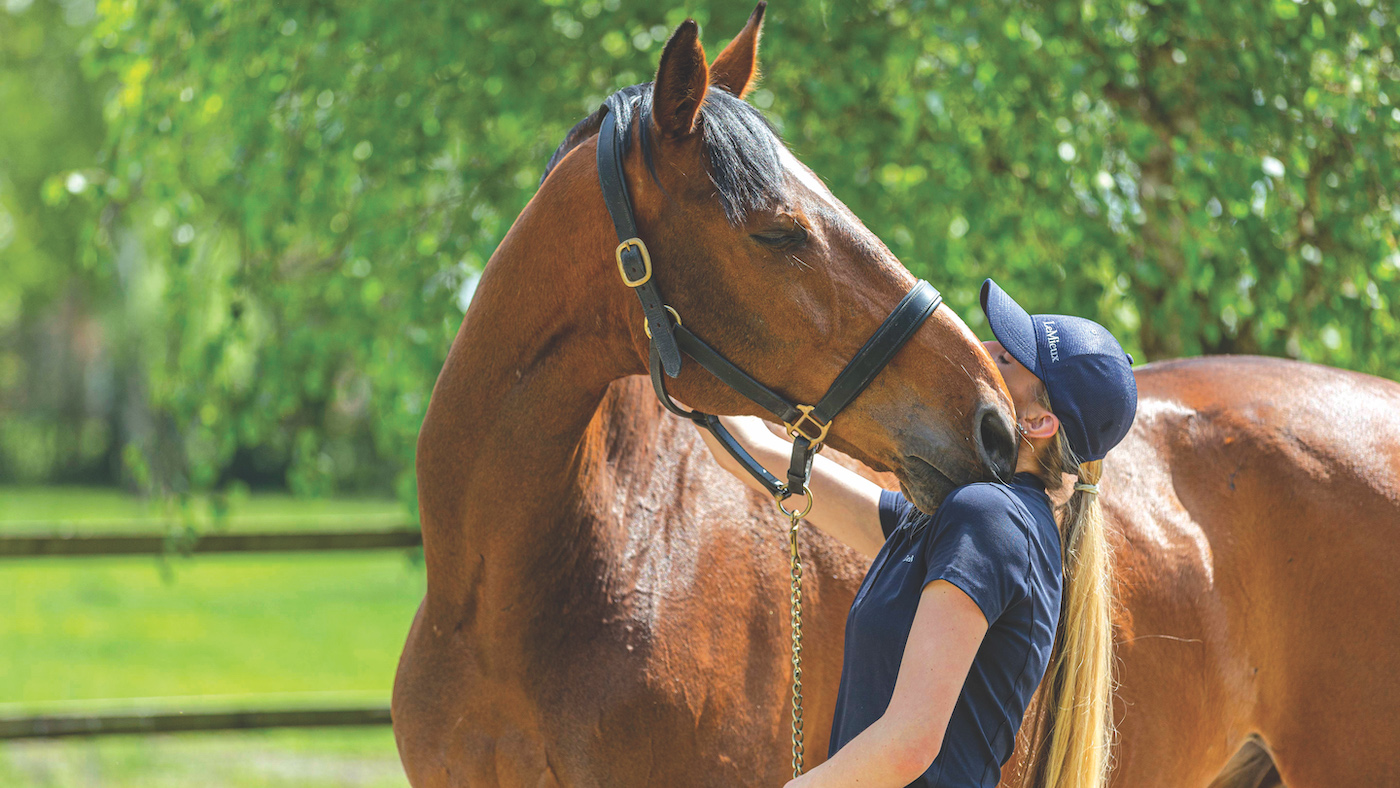 Is helping people through horses ‘quirky and eccentric or part of the ...