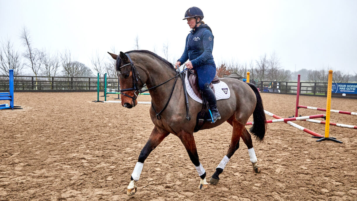 Operant conditioning for horses uses rewards and consequences